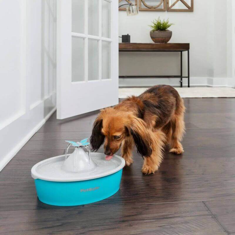 FONTAINE BUTTERFLY 1.5 L SANS BPA