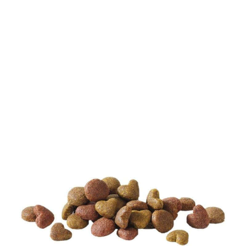 Happy life Adult au Saumon 3kg