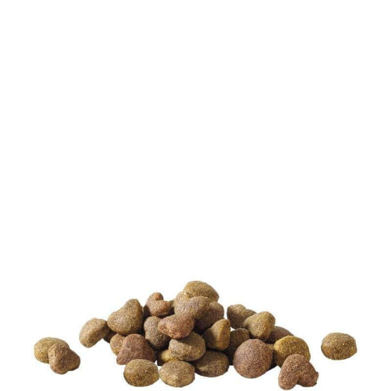 Happy life Adult au Poulet 3kg