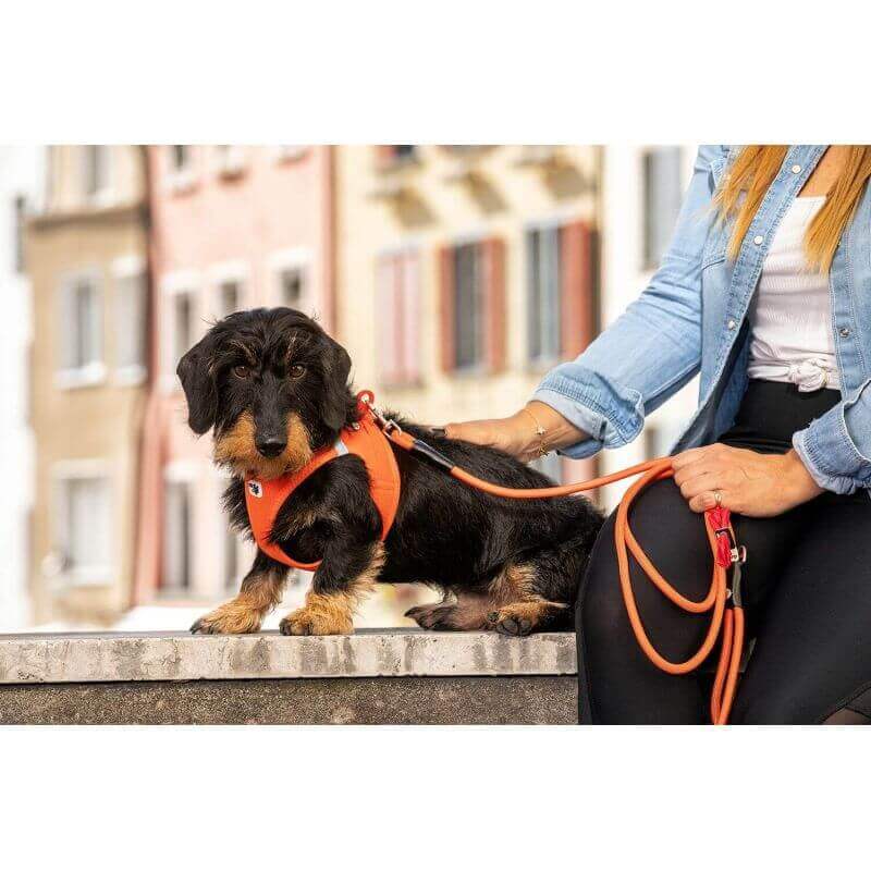 Harnais veste Curli boucle orange M - Harnais pour chiens